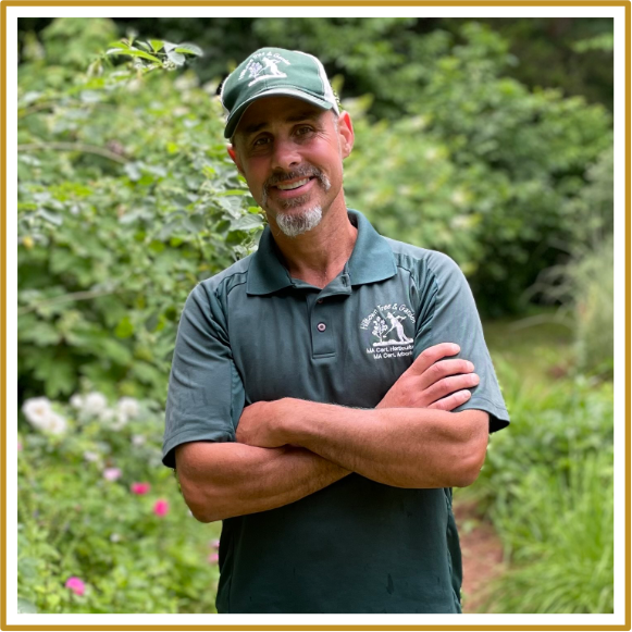 Certified Landscape Designers | Hilltown Tree & Garden